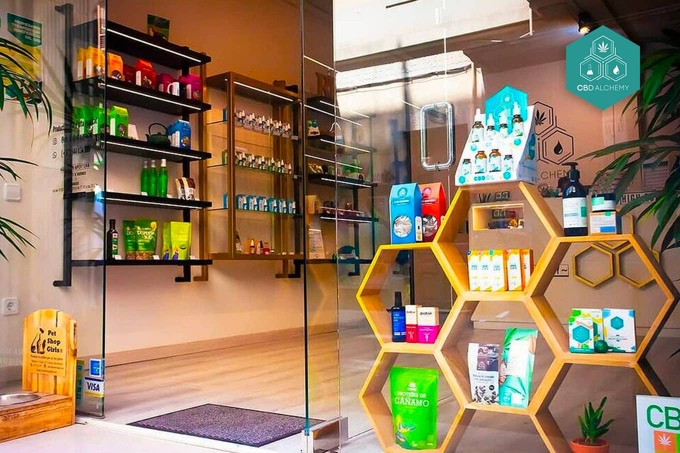 Guía Completa Sobre Cristales De Cbd Todo Lo Que Necesitas Saber Cbd