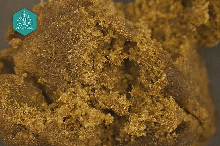 Diferencia Hachís y Chocolate: Guía Completa | Cannabis