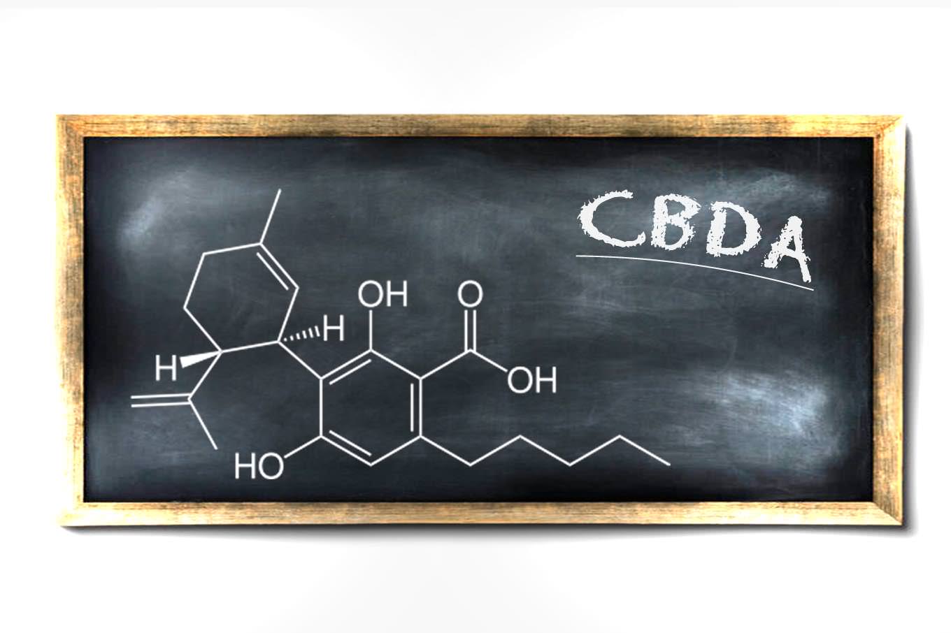 What exactly is Cannabidiolic Acid? | CBD Alchemy