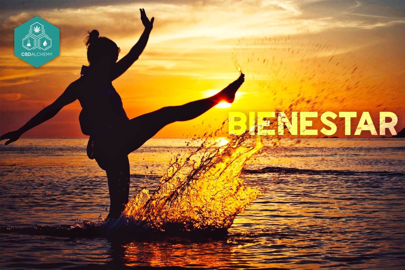 Discovering Cannabidiol Oil: A Journey to Wellness | CBD Alchemy