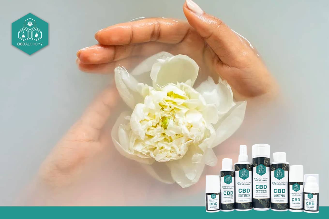 The Magic of CBD Cosmetics: A Deep Dive into the Power of CBD beauty ...