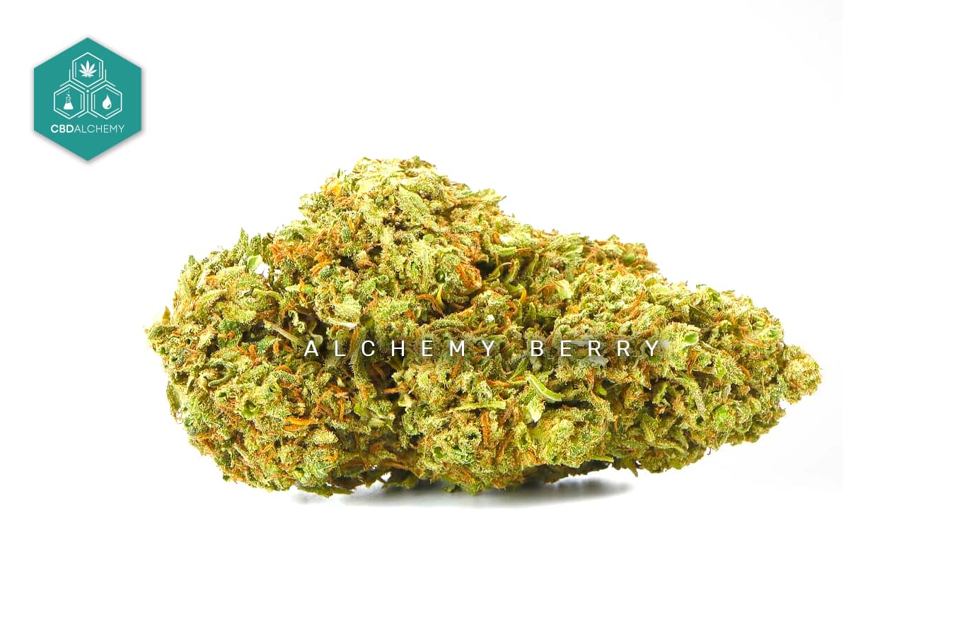 Exploring the best CBD flower stores in Barcelona (2023) | CBD Alchemy