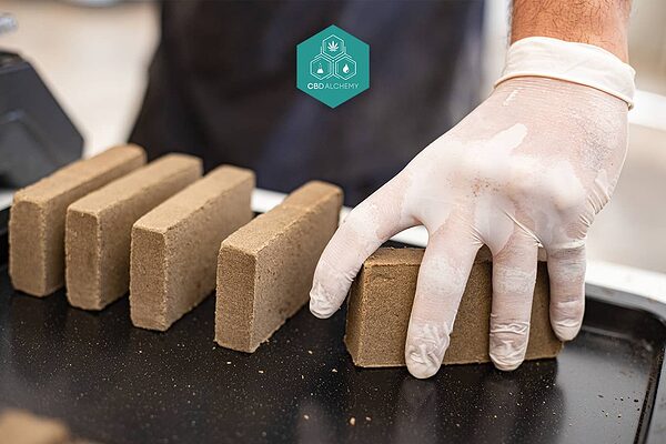 Exploring Hash Types: A Comprehensive Guide to Varieties and Selection ...