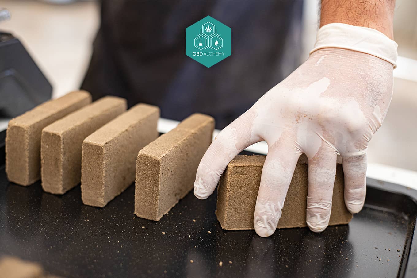 Exploring Hash Types: A Comprehensive Guide to Varieties and Selection ...