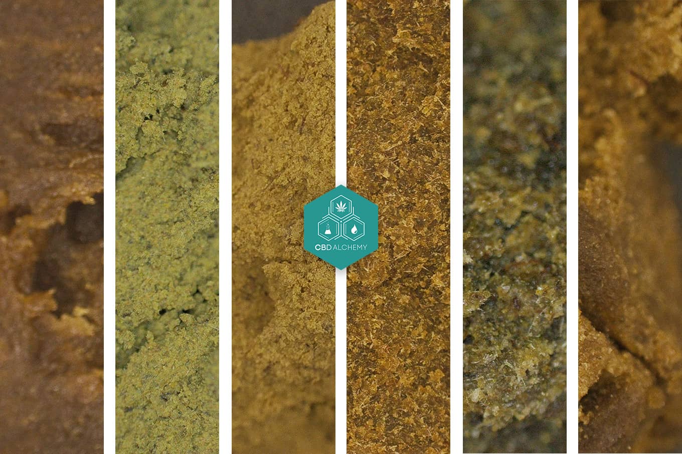 Exploring Hash Types: A Comprehensive Guide to Varieties and Selection ...