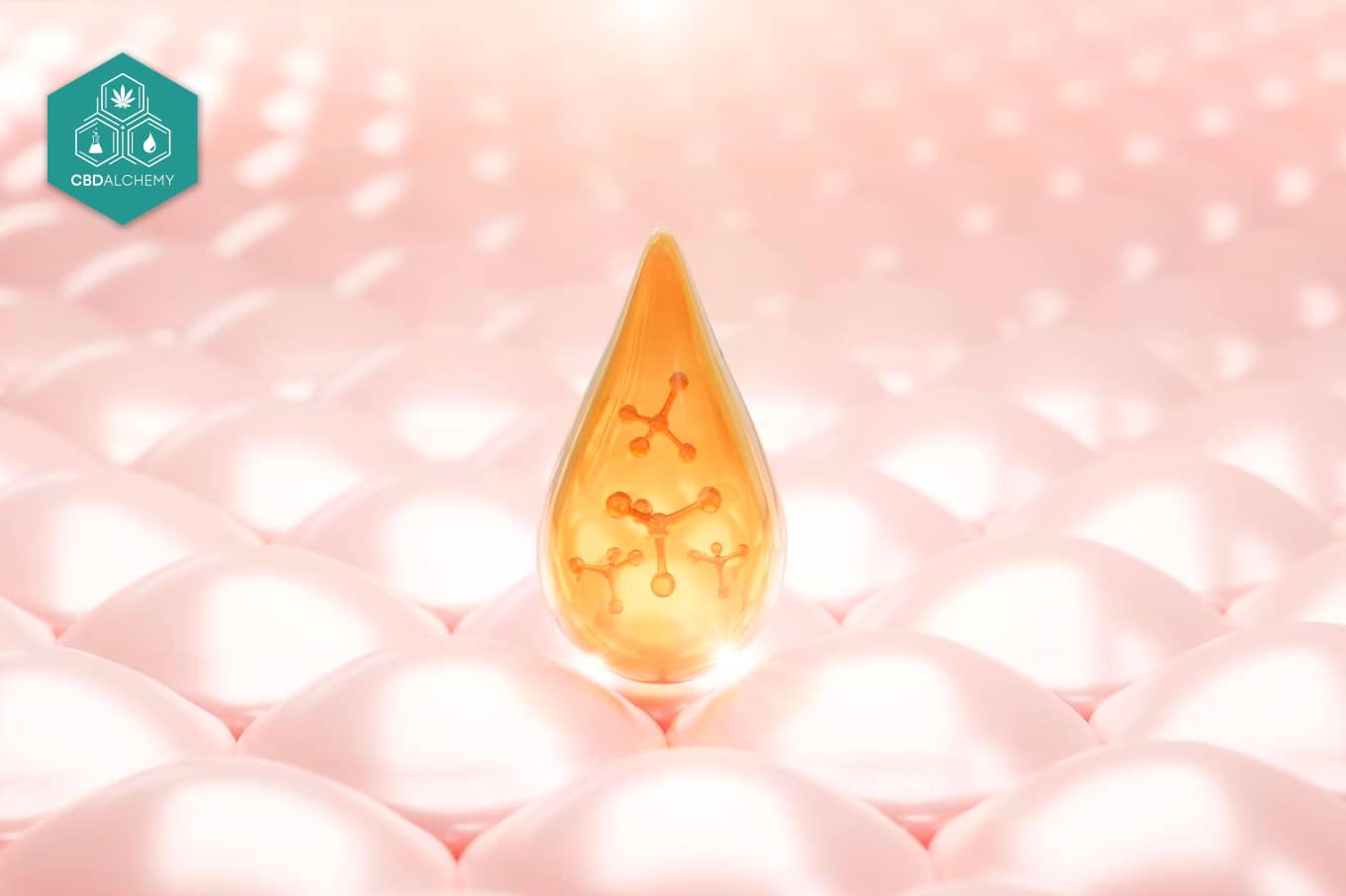 Molecular Targets of CBD: the Science Behind CBD