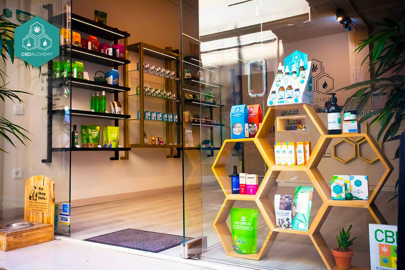 CBD flower sales in France: a booming market | CBD Alchemy