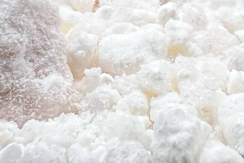 Qu'est-ce que le CBDA : Explorer les avantages et le potentiel de l'acide cannabidiolique | CBD ...